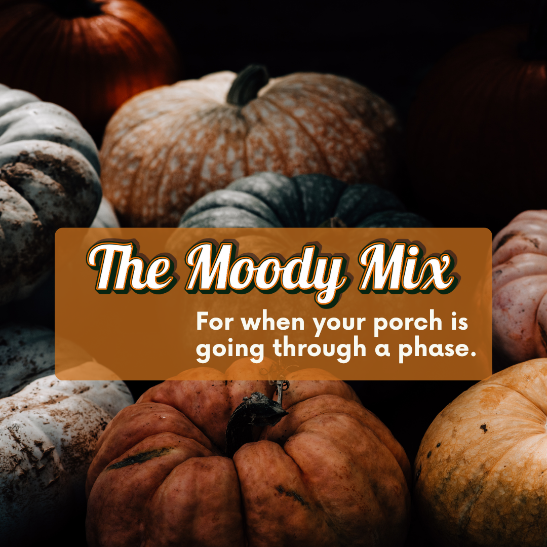 Dramatic Pumpkin Drop-Off DIY | Bold Autumn | 'Kin Folk