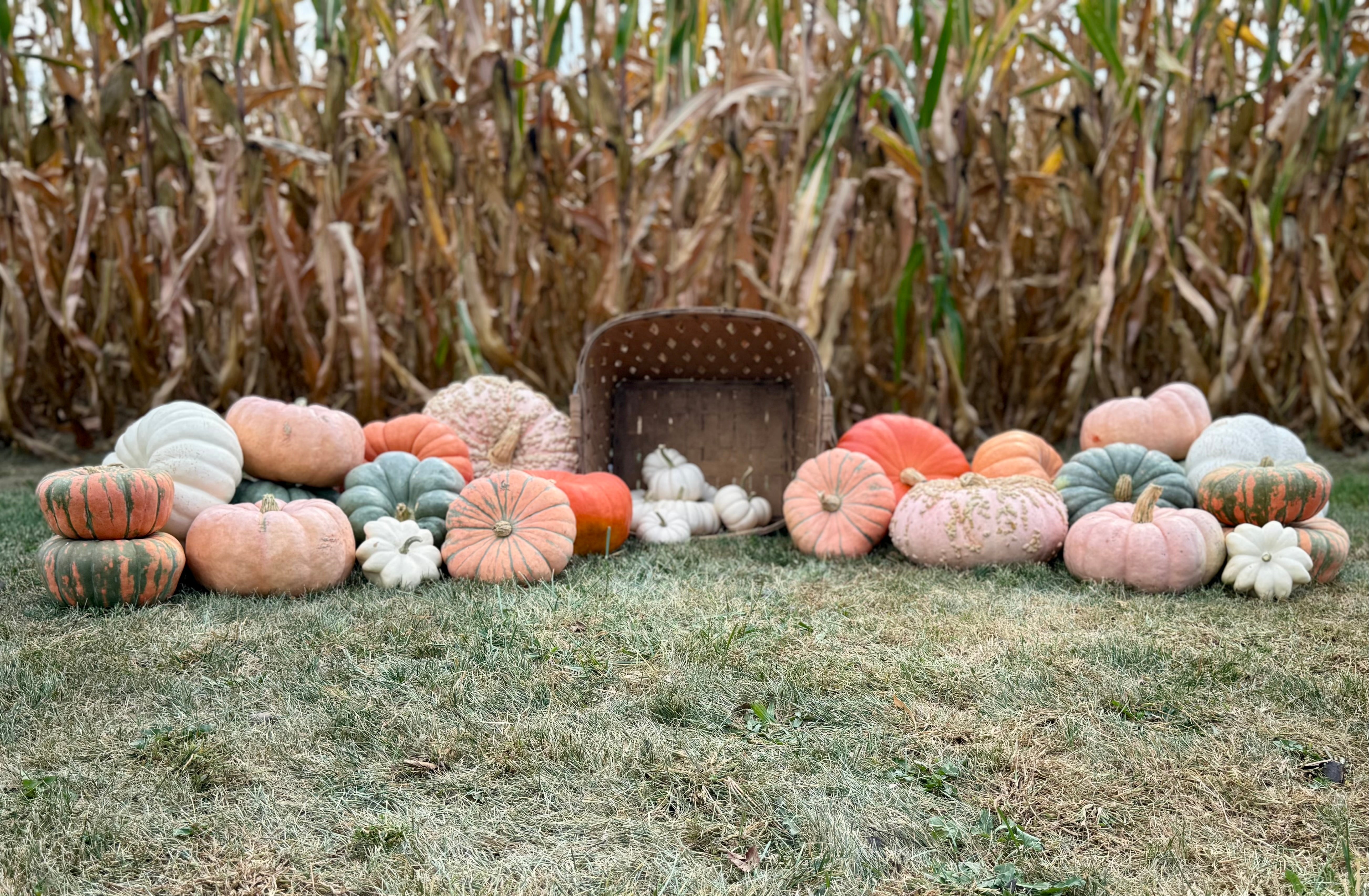 Enchanting Porcelain Pumpkin Drop-Off DIY | 'Kin Folk